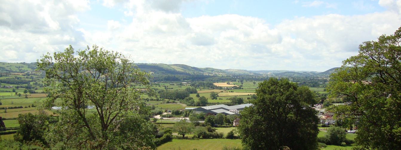 Montgomeryshire Natural Spring Water